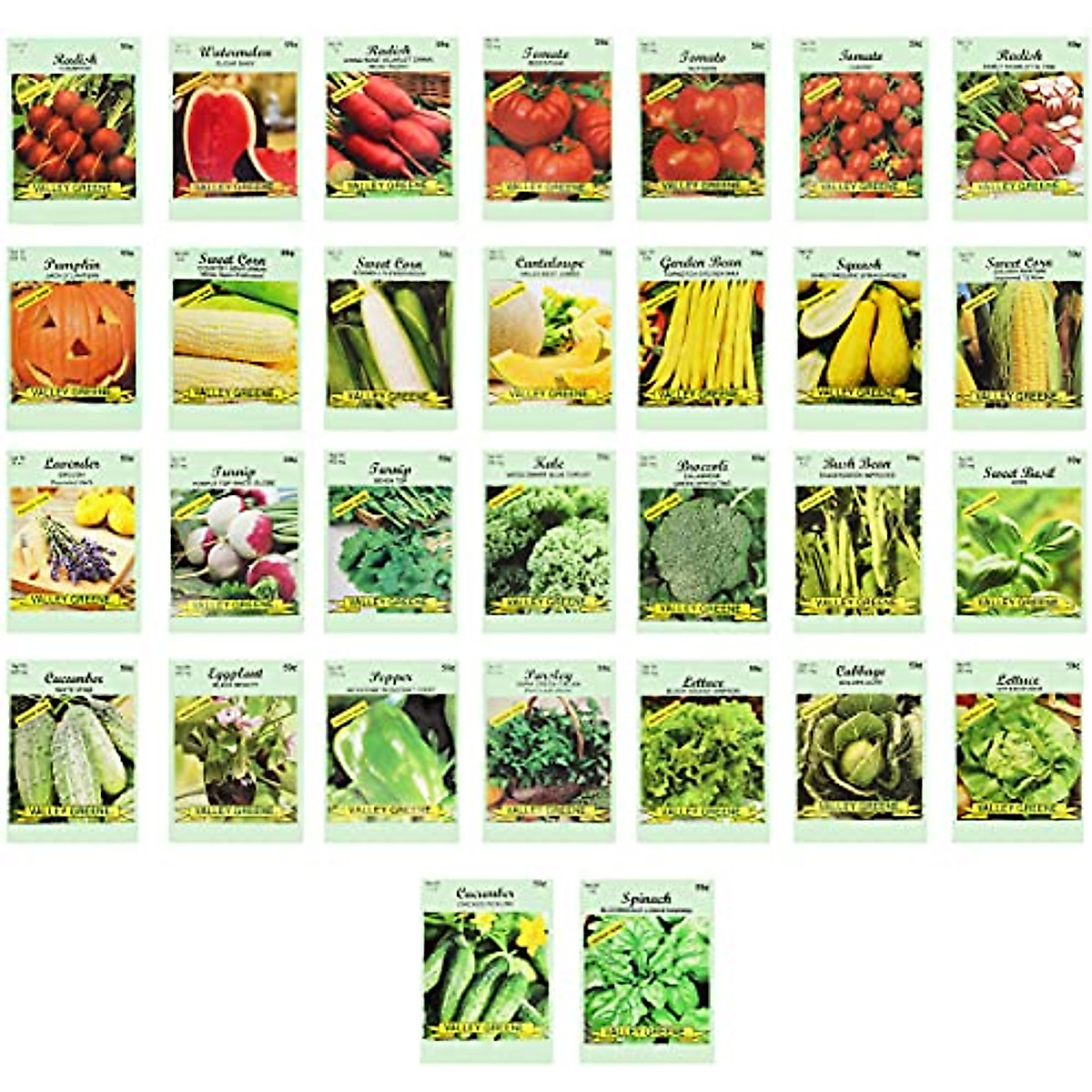 Set of 30 Vegetable and Herb Seeds - Semi Assorted - 100% Non-GMO & Heirloom - Great for Starting a Garden! High Germination Rate! (30)
