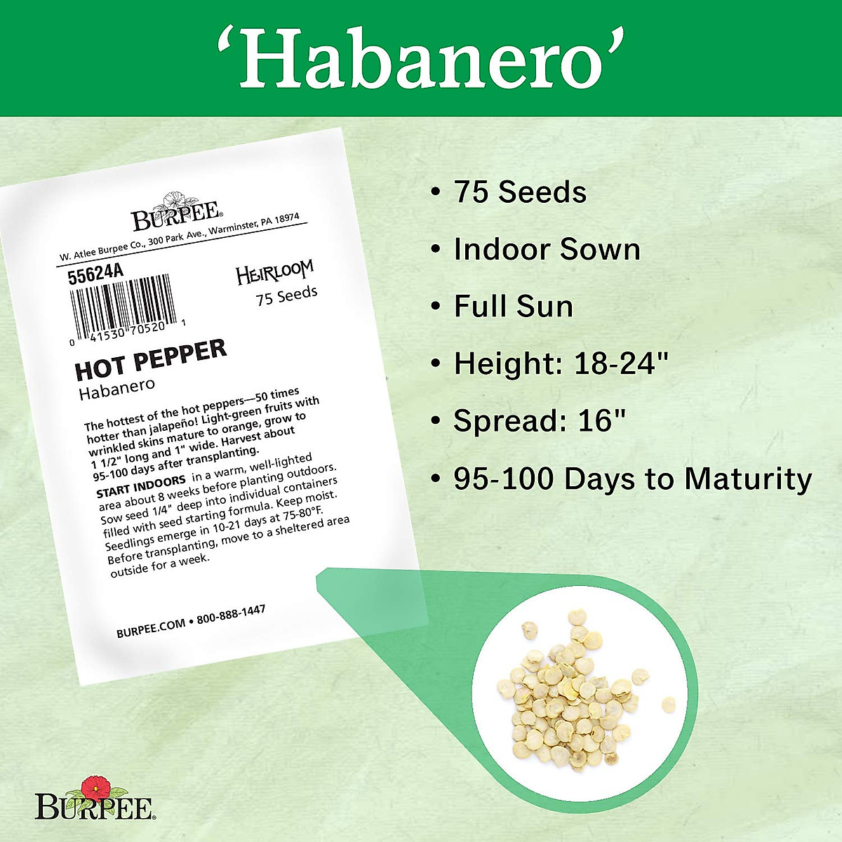 Burpee Habanero Hot Pepper Seeds 75 seeds