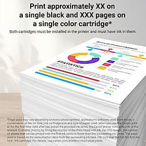 Canon PFI-300 Lucia PRO Ink, 10 Ink Tanks, Compatible to imagePROGRAF PRO-300 Printer, Multi, Standard (4192C007)