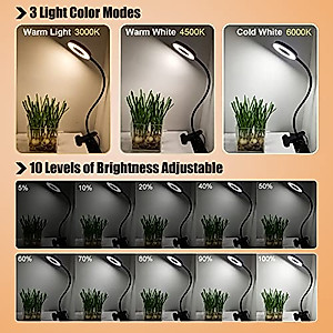 Earendil Desk Lamp,Clip On Reading Light,3 Color Modes 10 Brightness Level USB Charging Port 48 LED Eye Protection 360 Degree Spin Gooseneck Study lamp for Home Office Reading