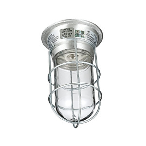 Wire Guard Light Bulb Cover for Commercial Kitchen Hood Lights L10-X020 (2)