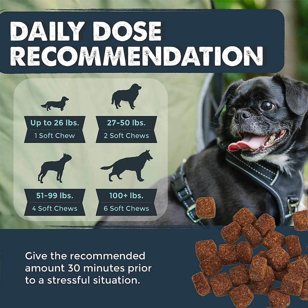 Mighty Paw Waggables Calm (Made in The USA) | Calming Chews for Dogs, Melatonin Dog Calming Treats for Normal Stress & Separation. Sleeping Aid for Dogs & Behavior Calming Dog Treats,120 Count