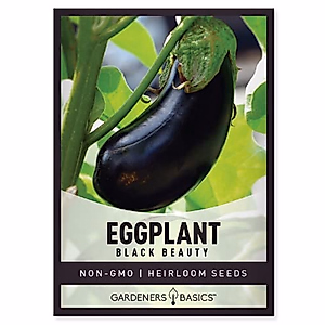Eggplant Seeds for Planting - Black Beauty Solanum melongena is A Great Heirloom, Non-GMO Vegetable Variety- 300 mg Seeds Great for Outdoor Spring, Winter and Fall Gardening by Gardeners Basics