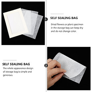 EXCEART 2 Sets of Dried Flower Storage Bags Self Sealing Bag Simple Plant Specimen Pouch Resealable Bags for Packaging Food Storage Containers for Beans Coffee Snack