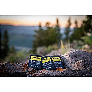 Sony TOUGH-M series SDXC UHS-II Card 64GB, V60, CL10, U3, Max R277MB/S, W150MB/S (SF-M64T/T1)