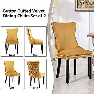 Velvet Upholstered Dining Chairs Set of 2 Wingback Kitchen Room Accent Chairs Solid Wood Leg Dinner Chairs with Nailhead Trim Button Tufted Back,Stylish,Luxury and Elegant (Golden Yellow)