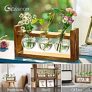 Glasseam Propagation Stations Plant Terrarium, Glass Bud Bulb Vase with Wooden Stand Propagate Station Propogation Jars Desktop Hydroponic Planter Air Plants Containers Tabletop for Indoor Flower