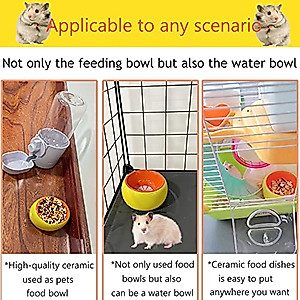 Tfwadmx 2 Pcs Hamster Food Bowl, Small Animals Ceramic Feeding Water Dish for Guinea Pig Rat Hedgehog Rabbit Gerbil Mouse Rodent