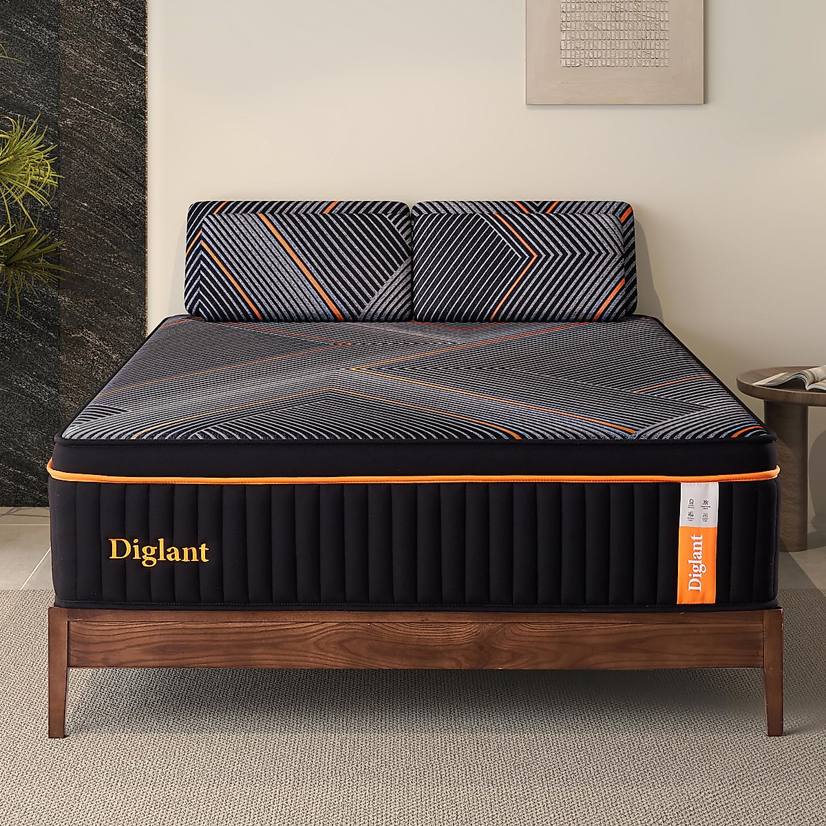 DIGLANT Queen Mattress, 14 Inch Plush Hybrid Mattress, Black Memory Foam with Individually Pocket Coils Mattress Queen Size in Box, Euro Top Mattress for Pressure Relief,Balanced Support, 60"*80"