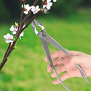MAVIS LAVEN Branch Cutter 8inch Concave Cutter Bonsai Tools Carbon Steel Gardening Shears Scissors Tools