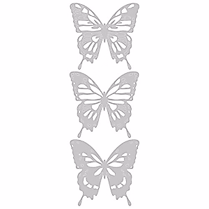 Sizzix Thinlits Die Set 3 Pack Intricate Wings by Jessica Scott, Multicolor