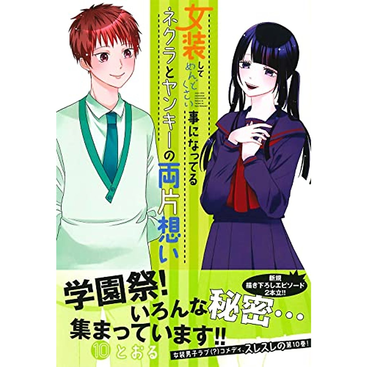 女装してめんどくさい事になってるネクラとヤンキーの両片想い 10 (BLADEコミックス pixivシリーズ) Comic – February 9, 2023