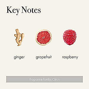 LAFCO New York Signature Scented Candle (Champagne, Penthouse - 15.5 oz)