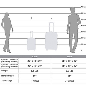 Merax Luggage Sets 2 Piece Suitcase Set 20/28,Carry on Luggage Airline Approved,Hard Case with Spinner Wheels,Purple