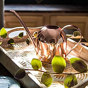 Smouldr Mini Plant Watering Can Indoor: Rose Gold Small Watering Can Helps You Water Tiny House Plants, Succulents, Bonsai or Herb Gardens - Steel Plant Waterer for Miniature Flower Pots - 15 Ounces