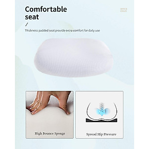 Home Office Chair Mid Back PC Swivel Lumbar Support Adjustable Desk Task Computer Ergonomic Comfortable Mesh Chair with Armrest (White)