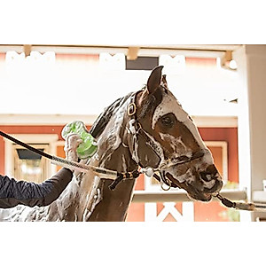 Kawell USA Natural Horse Shampoo for Skin and Coat Care - suitable for Minor Injuries, Cuts, Ulcers, Skin Allergies and Irritations, infused with Matico Healing Properties, 32 oz.