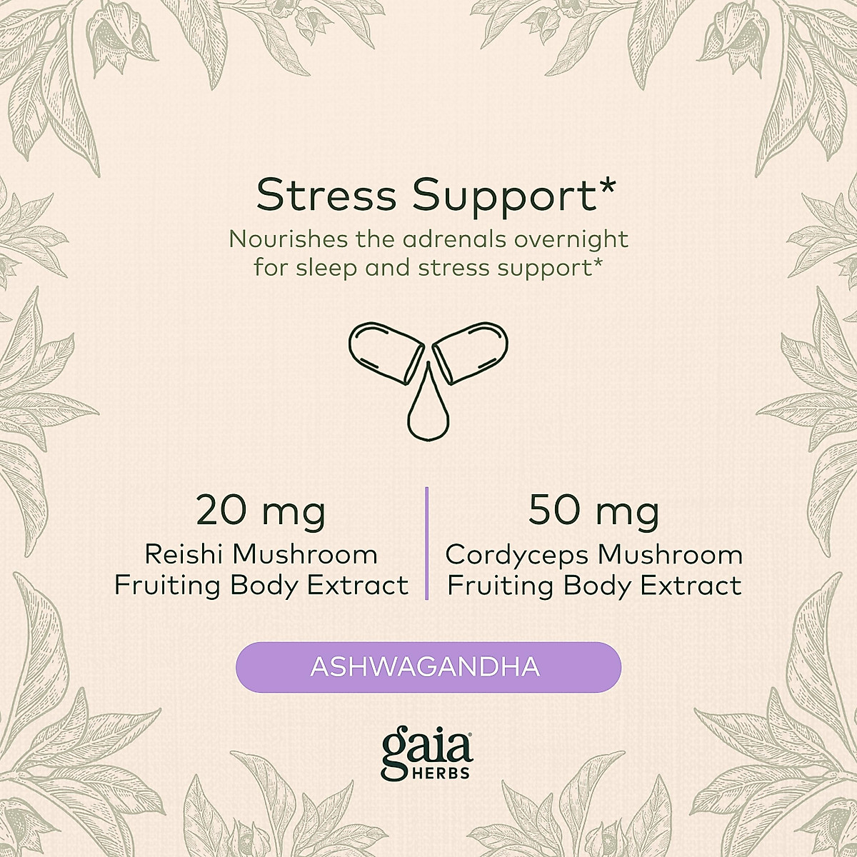 Gaia Herbs Adrenal Health Nightly Restore - Herbal Supplement with Ashwagandha, Magnolia Bark, Cordyceps, Lemon Balm, and More - 120 Vegan Liquid Phyto-Capsules (60 Servings)
