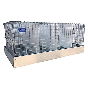 All Things Bunnies Rabbit Carrier/Transport Cage - 4 Hole (16x28x12)