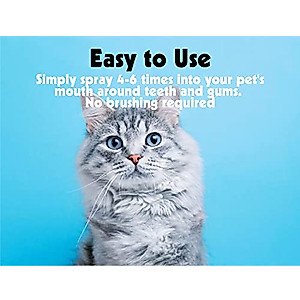 Petkin Plaque Spray, Cool Mint, 4 Fl Oz – Cleans Teeth & Gums, Removes Plaque & Tartar, Freshens Breath & Whitens Teeth with Baking Soda - Ideal Cat & Dog Dental Spray with No Brushing or Rinsing