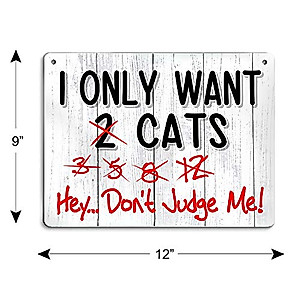 Bigtime Signs Cat Sign - I Only Want Cats - Cat Decor Funny Gag Gifts for Window, Office, Bedroom Decor - Funny Cat Gifts for Indoor or Outdoor use - Best Cat Gifts For Cat Lovers and Cat Decorations