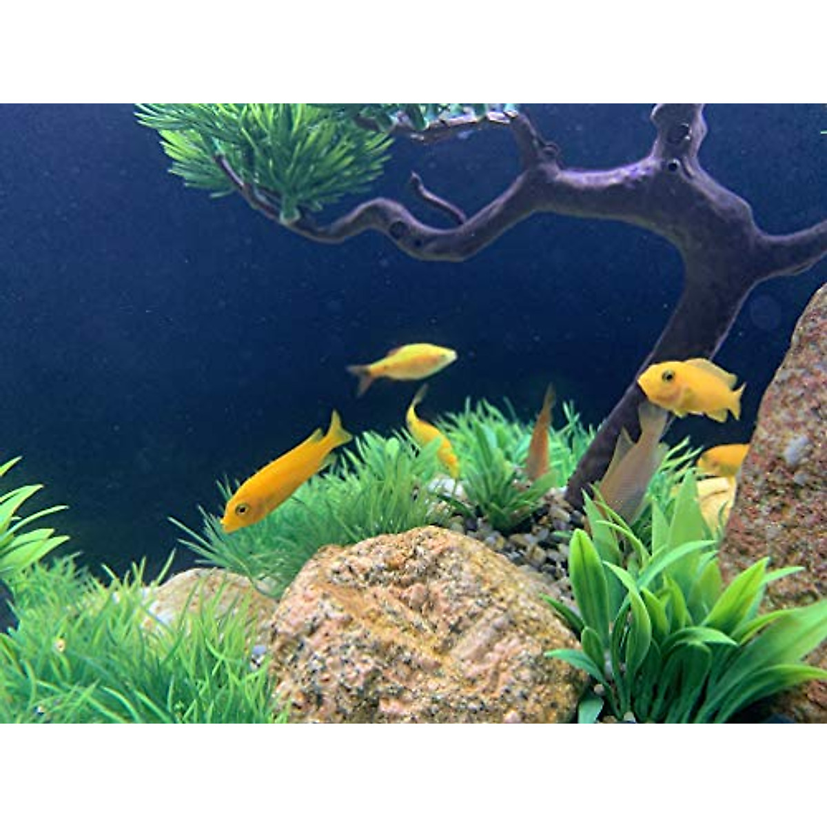 Artificial Aquarium Green Water Plants Tree Set 25 Pcs, Fish Tank Aquarium Decorations, Made of Soft Plastic, Safe for All Fish & Pets (Set 1)