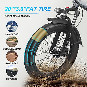 Wildeway FW11 Electric Bike 48V 32Ah Battery 750W 30MPH Folding Electric Bike for Adults, 20'' Fat Tire Mountain Ebike Bicycles, 7-Speed Gears and Dual Shock Absorber, Step-Thru 32AH Grey