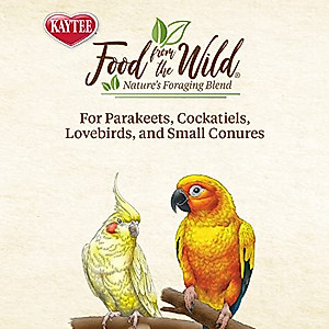 Kaytee Food From The Wild Natural Pet Bird Snack Food Treats For Parakeets, Cockatiels, Lovebirds, and Small Conures, 3 oz