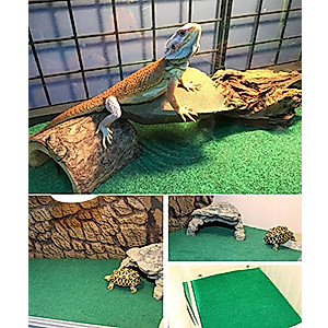 HERCOCCI Reptile Carpet, 39’’ x 20’’ Terrarium Bedding Substrate Liner Reptile Cage Mat Supplies for Bearded Dragon Lizard Tortoise Leopard Gecko Snake (Green)