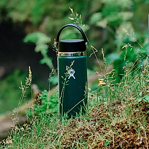 Hydro Flask Wide Mouth Bottle with Flex Cap
