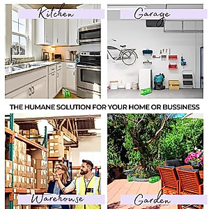 DEJOR Humane Mouse Trap Live Catch Indoor for Home/Outdoor Durable Reusable No Harm to Mice Rats Rodents Easy Release Door Knob - Kids Pets Safe Perfect for House/Outside Pest Control - 4 Pack, Green