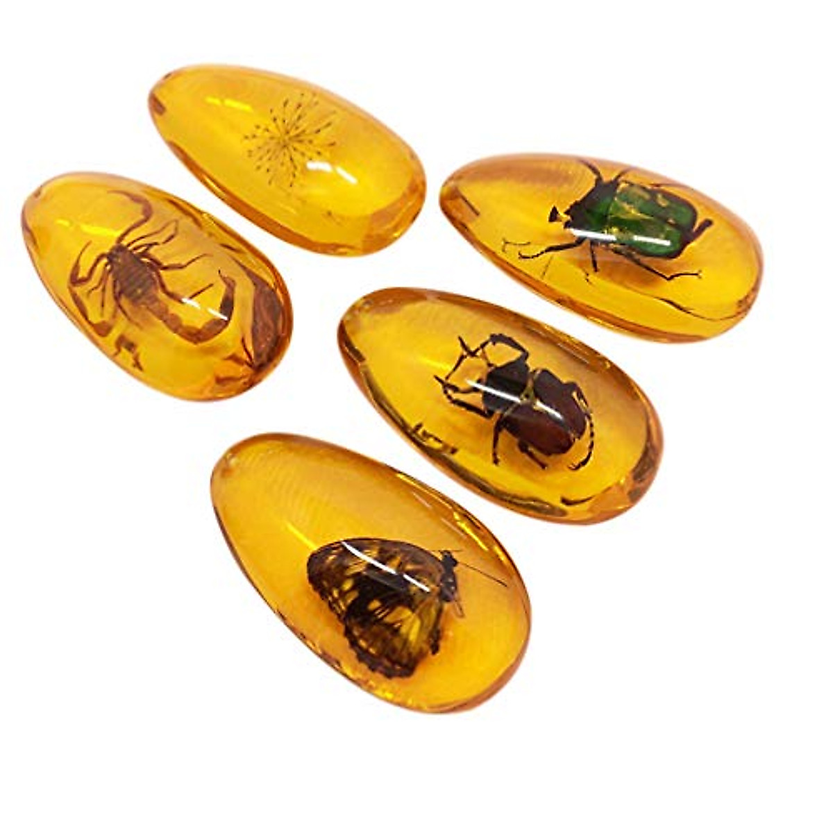 Garneck Crystal Amber Fossil with Insects, Inside Specimens Samples Stones Oval Pendant Collection Home Decorations Education Gift (Random Pattern)