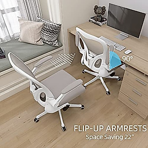 Monhey Office Chair - Ergonomic Office Chair with Lumbar Support & Flip-up Arms Home Office Desk Chairs Height Adjustable High Back Rockable Computer Chair Swivel 360° Warm Taupe Mesh Study Chair