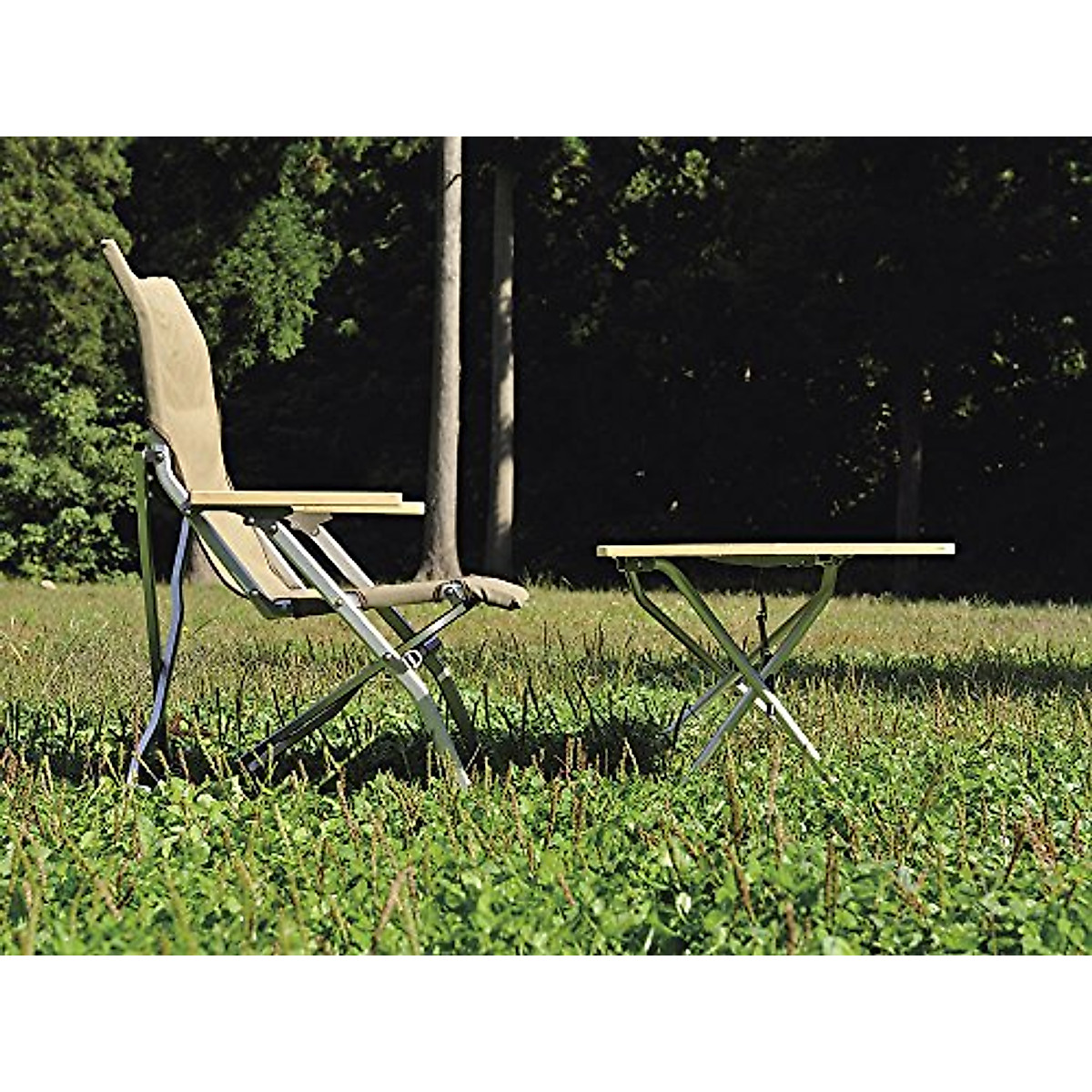 Snow Peak Beach Chair, Collapsible Camping Chair for Campsite, Beach Patio