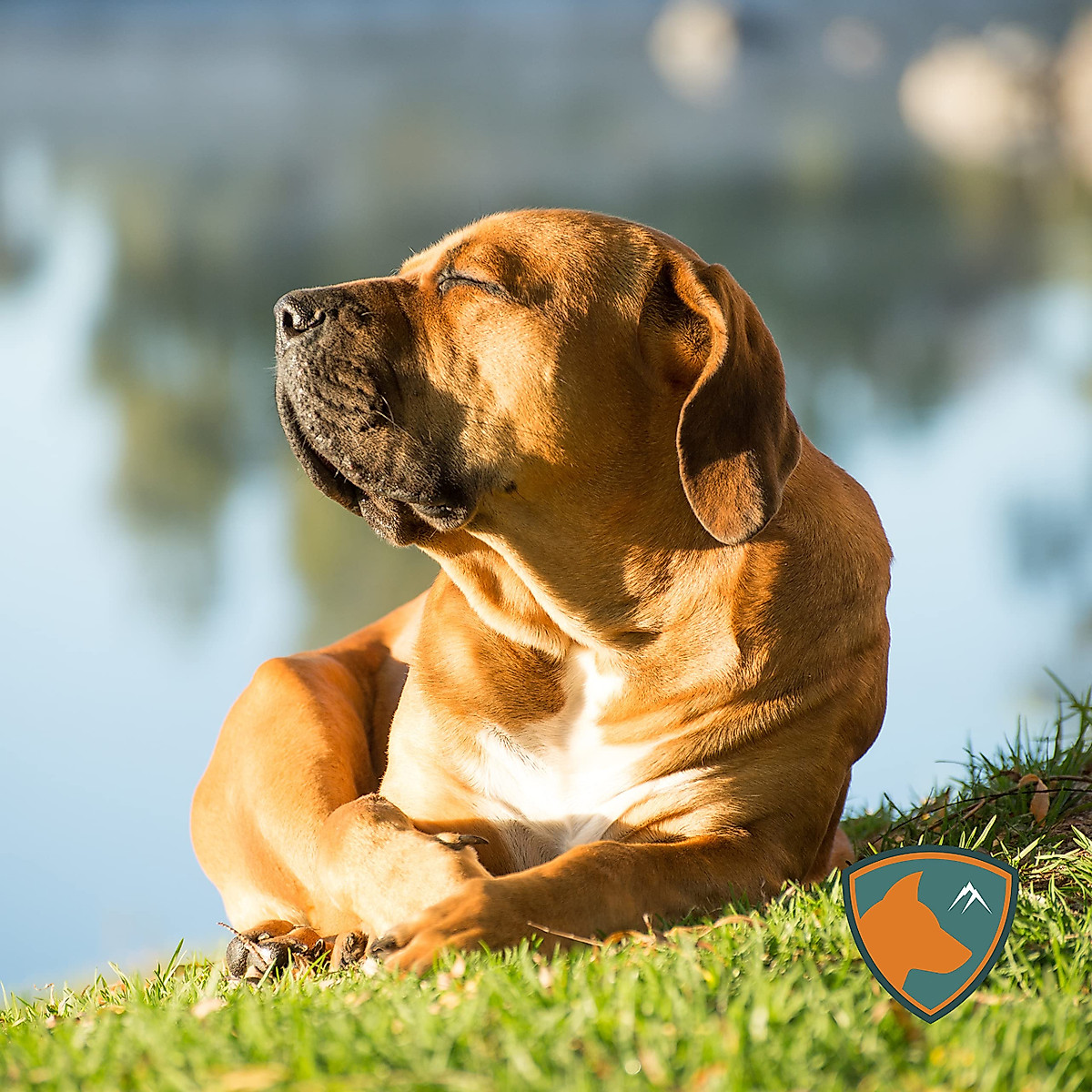 K9 Conquest Calming Chews for Dogs - Anxiety Relief & Stress Reducer with Organic Hemp, Chamomile, Valerian Root, L-Tryptophan, Ginger Root & Melatonin - Anxiety and Stress Calming Treats for Dogs