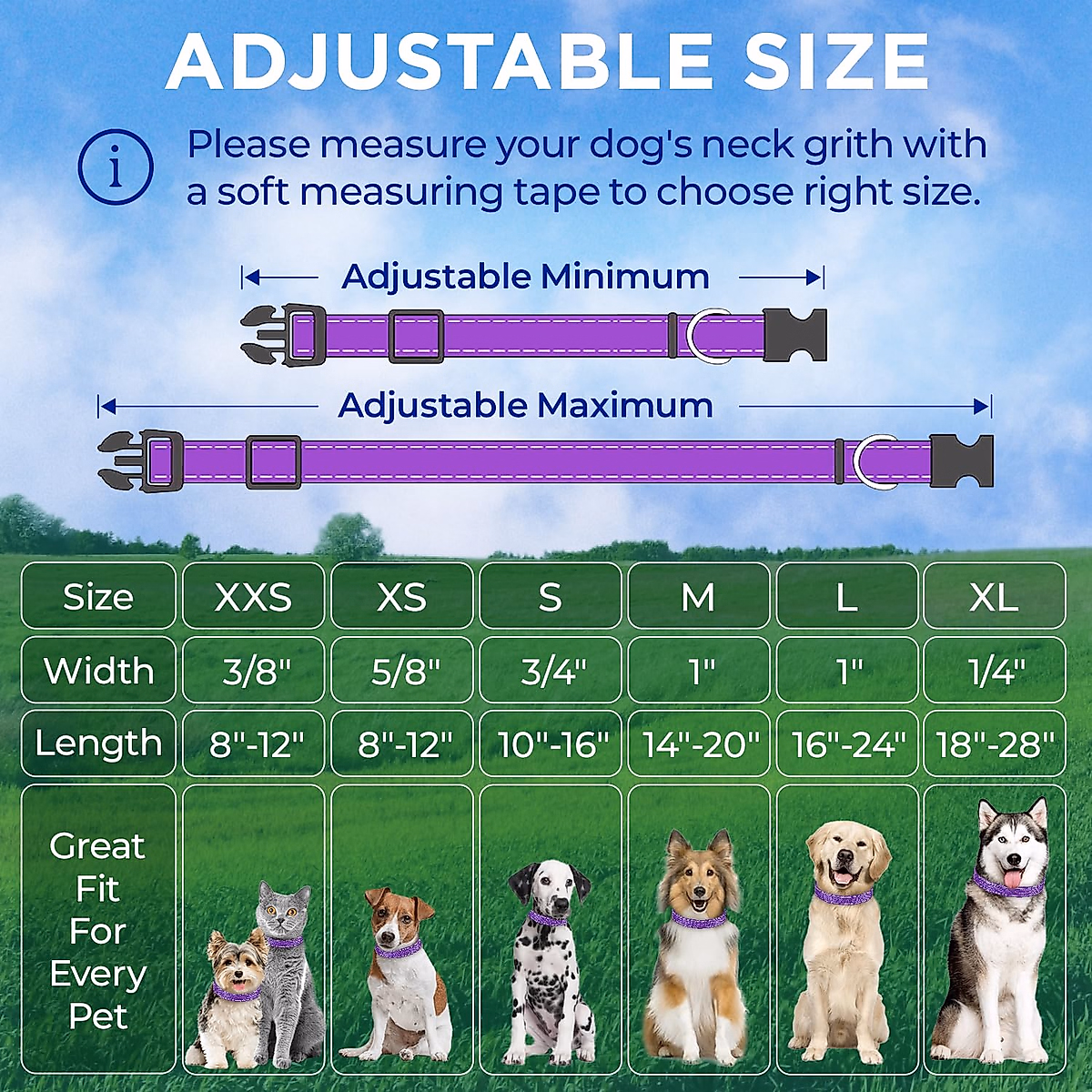 TECEUM Reflective Pet Collar – Purple – M – Extra Soft Padding – Basic Nylon Dog Collar – Quick Release Buckle – Fits Small, Medium and Large Dogs, Puppies, Cats – ESA & Service Dog Options
