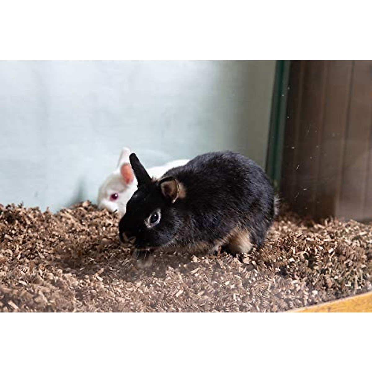 ECO BEDDING FiberCore Box, Brown, 10 lb