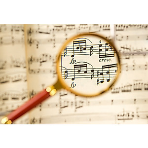 BASUNE 10X Handheld Magnifier, Reading Magnifier Loupe Glasses 10X with Rosewood Handle for Book and Newspaper Reading, Insect and Hobby Observation, Classroom Science (Clear, Plastic Frame)