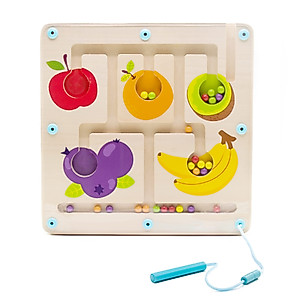 Pidoko Kids Color Sorting Fruits Magnetic Maze - Montessori Educational Toys for Toddlers - Learning Fine Motor Skills for Preschoolers