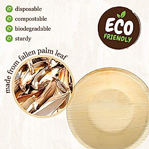 brheez Palm Leaf Bowls 4 Inch - 25 Pack - Eco Friendly, Compostable & Biodegradable – Elegant Bamboo Look Disposable Bowls are Heavy Duty and More Environmentally Friendly than Paper Bowls