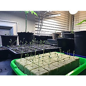 Garden Rockwool Grow Cubes Starter Plugs,for Soilless Culture, Seed Starter, Ideal Hydroponic Grow Media (1.5in-49pcs)