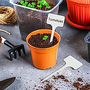 KINGLAKE GARDEN Large Plastic Plant Labels 6 Inch 50 Pack White Durable Extra Large T-Style Plastic Plant Labels for Flower beds,Plant pots