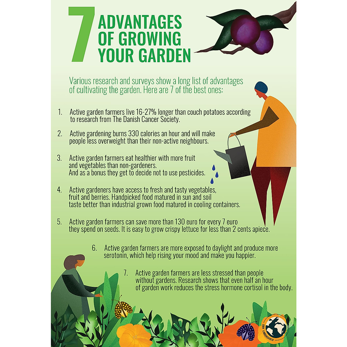 Perennial Sunflower Seeds for Planting - Plant & Grow Maximilian Sun Flowers in Your Home Outdoor Garden - 500 Non GMO Heirloom Seeds - Full Planting Packet with Instructions for Easy Grow, 1 Packet