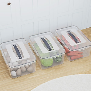 Ponpong 4 Packs Airtight Lid Food Storage Boxes Set, 15 Quart Plastic Food Storage Bin, Clear