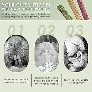 ERKOON 25 Pcs Timothy Hay Sticks,Rabbit Chew Toys for Teeth Natural Timothy Grass Molar Sticks Rabbits Treats for Bunnies, Chinchilla Guinea Pigs, Gerbil, Hamster (Timothy+Oatmeal+Beet)