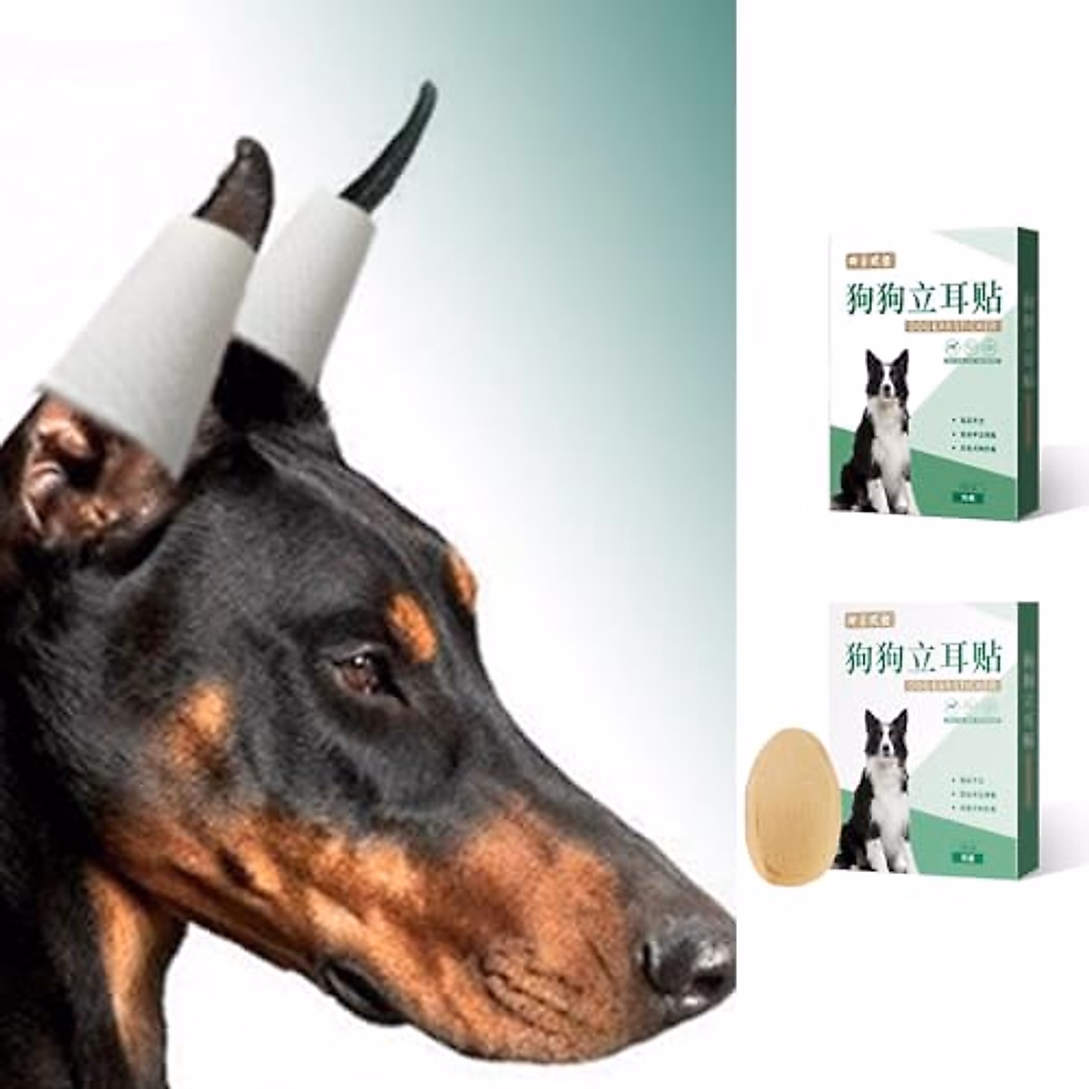 MANON ROSA Dog Ear Posting Kit for Doberman Pinschers - Ear Stand Up Support Tool with Tape for Ear Correction and Vertical Hold (2-Pack)