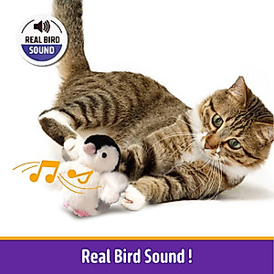 Kimee Interactive Cat Toy Rechargeable Automatic Chirping Penguin Flying Bird Cat Toy Infused with Catnip in The Wings, Auto Beating Wings Cat Toys for Indoor Cats to Play Alone, Never Boredom