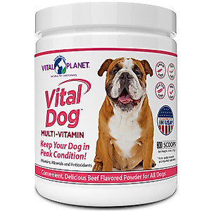 Vital Planet - Vital Dog Multi Vitamin Powder Supplement for Everyday Health with Vitamins, Minerals and Antioxidants for Dogs - Beef Flavored Powder, 30 Servings, 75 Grams