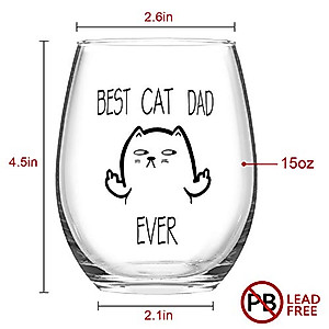Cat Dad Stemless Wine Glass - Funny Dad Wine Glass for Cat Lovers, Dad, New Dad, Father, Papa, Dad Gifts for Christmas, Birthday, Father's Day 15Oz