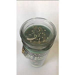 Santa Muerte Abre Camino